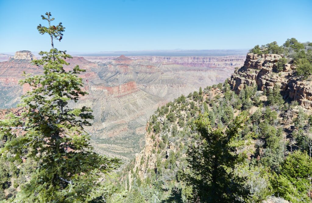 A Guide to the Overlooked Grand Canyon North Rim - Sailingstone Travel