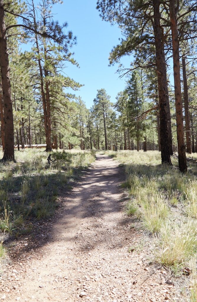 A Guide to the Overlooked Grand Canyon North Rim - Sailingstone Travel