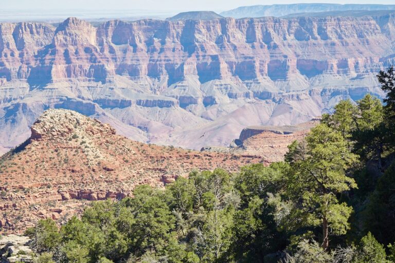 A Guide to the Overlooked Grand Canyon North Rim - Sailingstone Travel