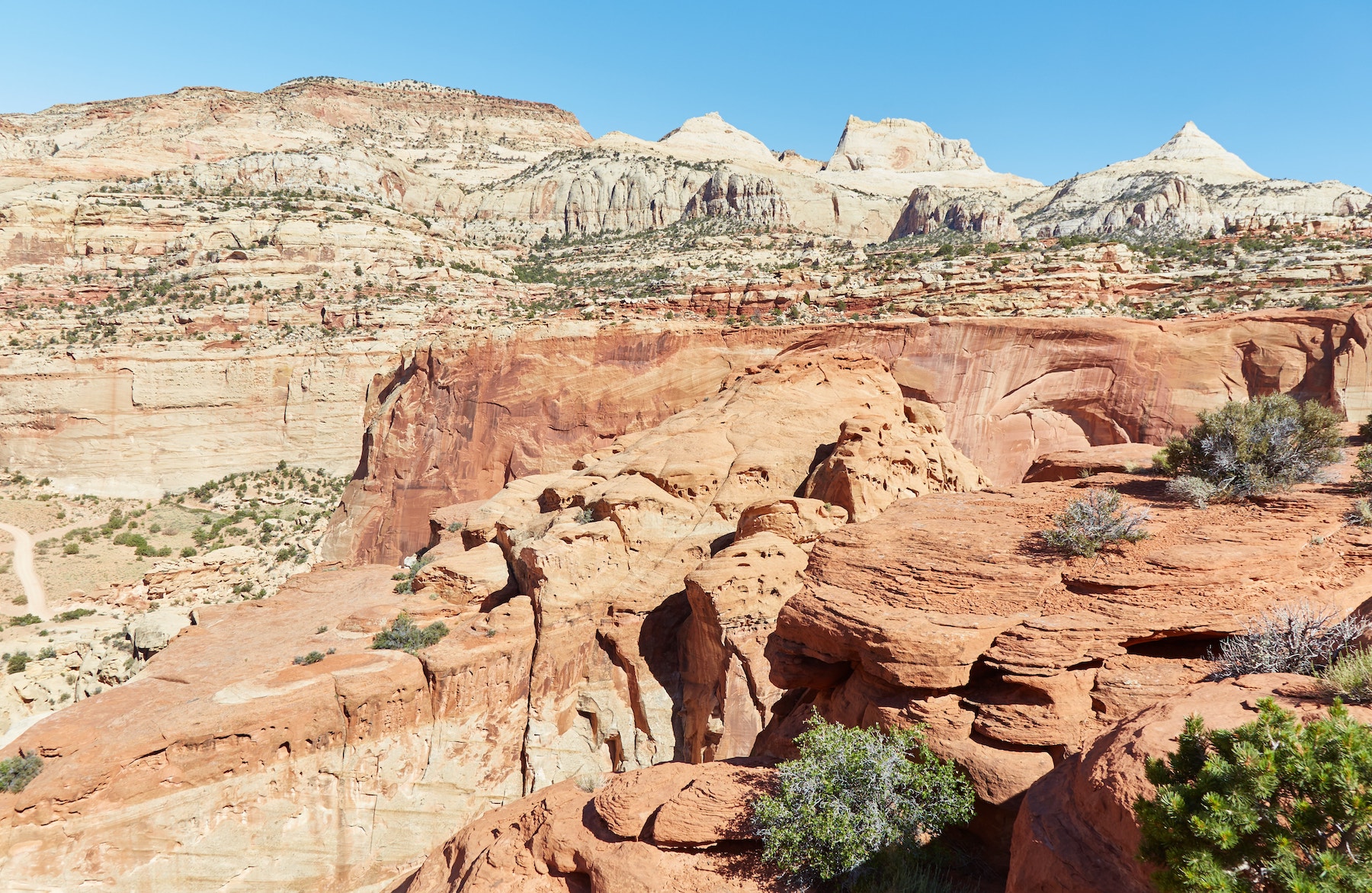 Capitol Reef National Park: The Ultimate Guide - Sailingstone Travel