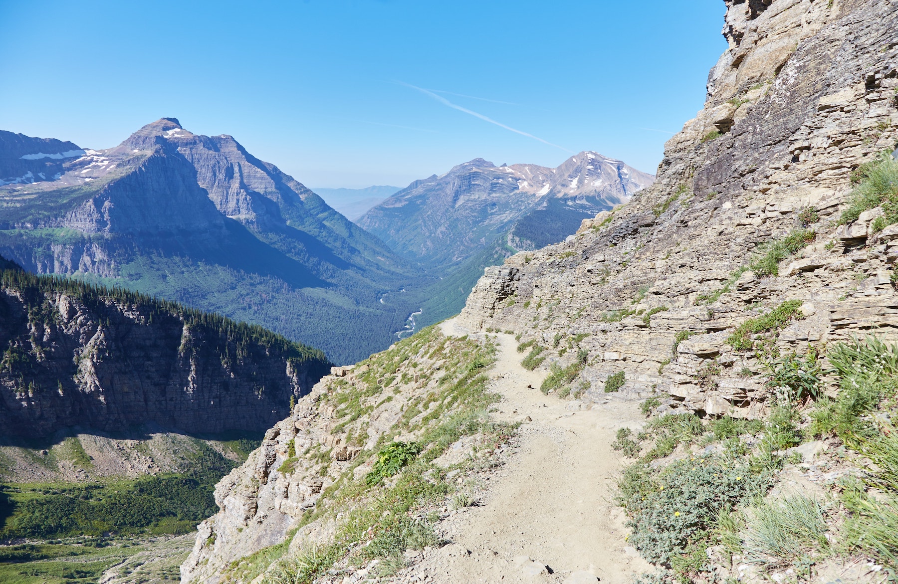 Hiking Glacier's Highline Trail: Everything You Need to Know ...